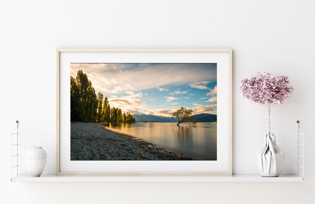 That Wanaka Tree, Lake Wanaka, Otago, New Zealand – Canvas Prints ...